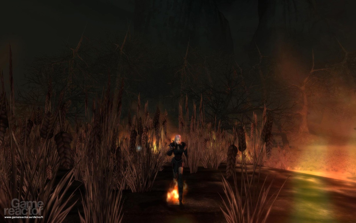 Nya Spellborn-bilder - The Chronicles of Spellborn - Gamereactor