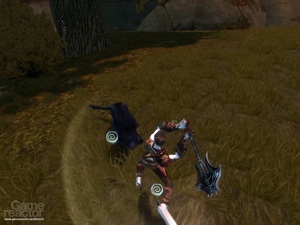 Nya Spellborn-bilder - The Chronicles of Spellborn - Gamereactor