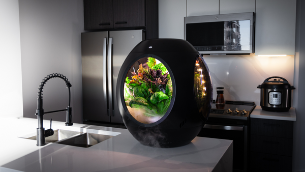 Plantaforms Smart Indoor Garden använder dimma för att odla växter ...
