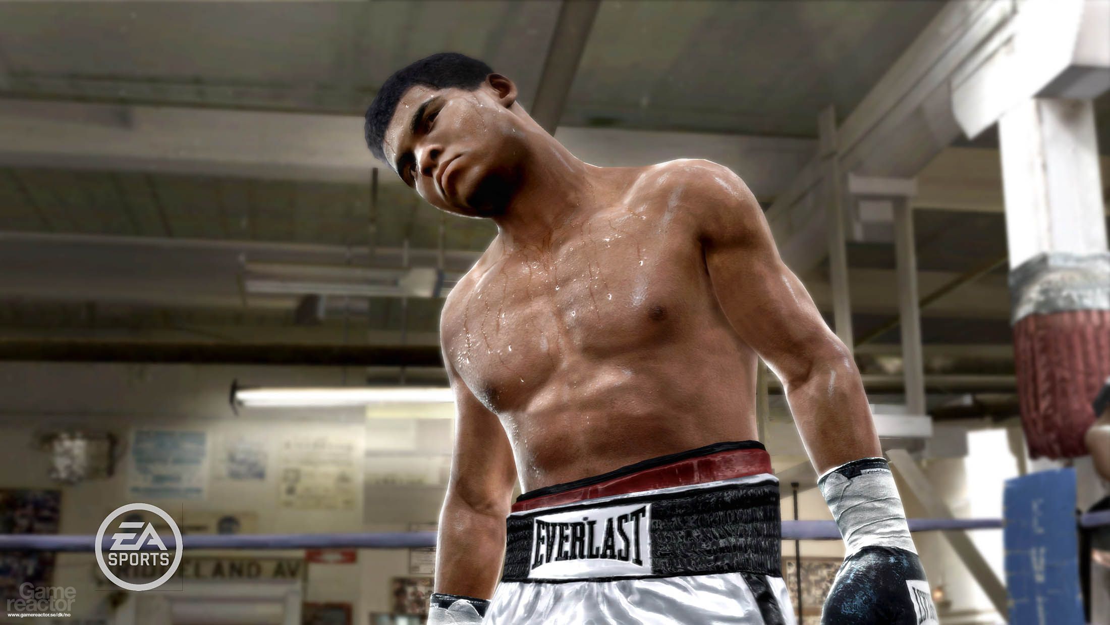 Boxning till Playstation 3 - Fight Night Round 3 - Gamereactor