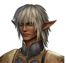 Final Fantasy XI Förhandstitt - Gamereactor