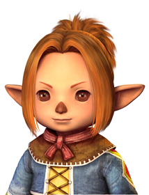 Final Fantasy XI Förhandstitt - Gamereactor