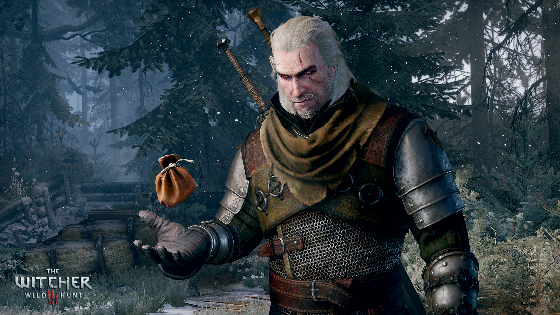 The Witcher firar tio år med härlig födelsedagsvideo