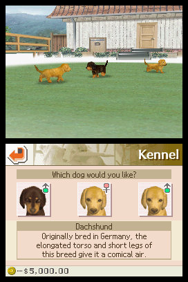 Nintendogs Recension - Gamereactor