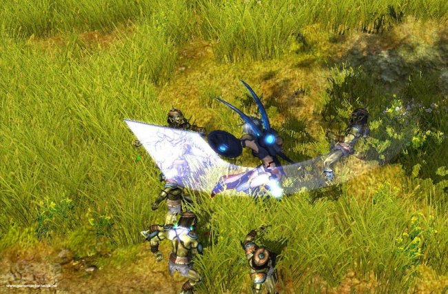 Sacred 2 försenas - Sacred 2: Fallen Angel - Gamereactor