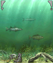 Creatures of the Deep - - Gamereactor
